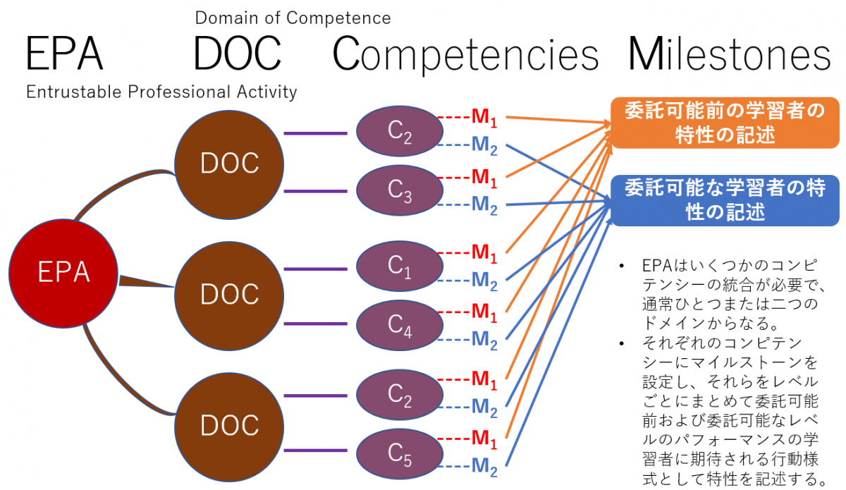 EPA Entrustable Professional Activities ”委託可能な専門的活動” – InfoZ@net